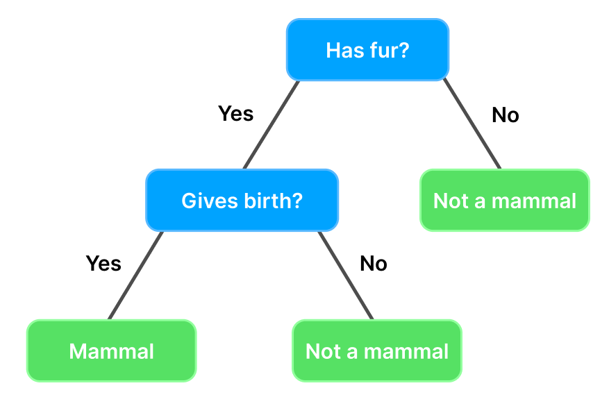 Decision Tree Classifier Basics Codesignal Learn